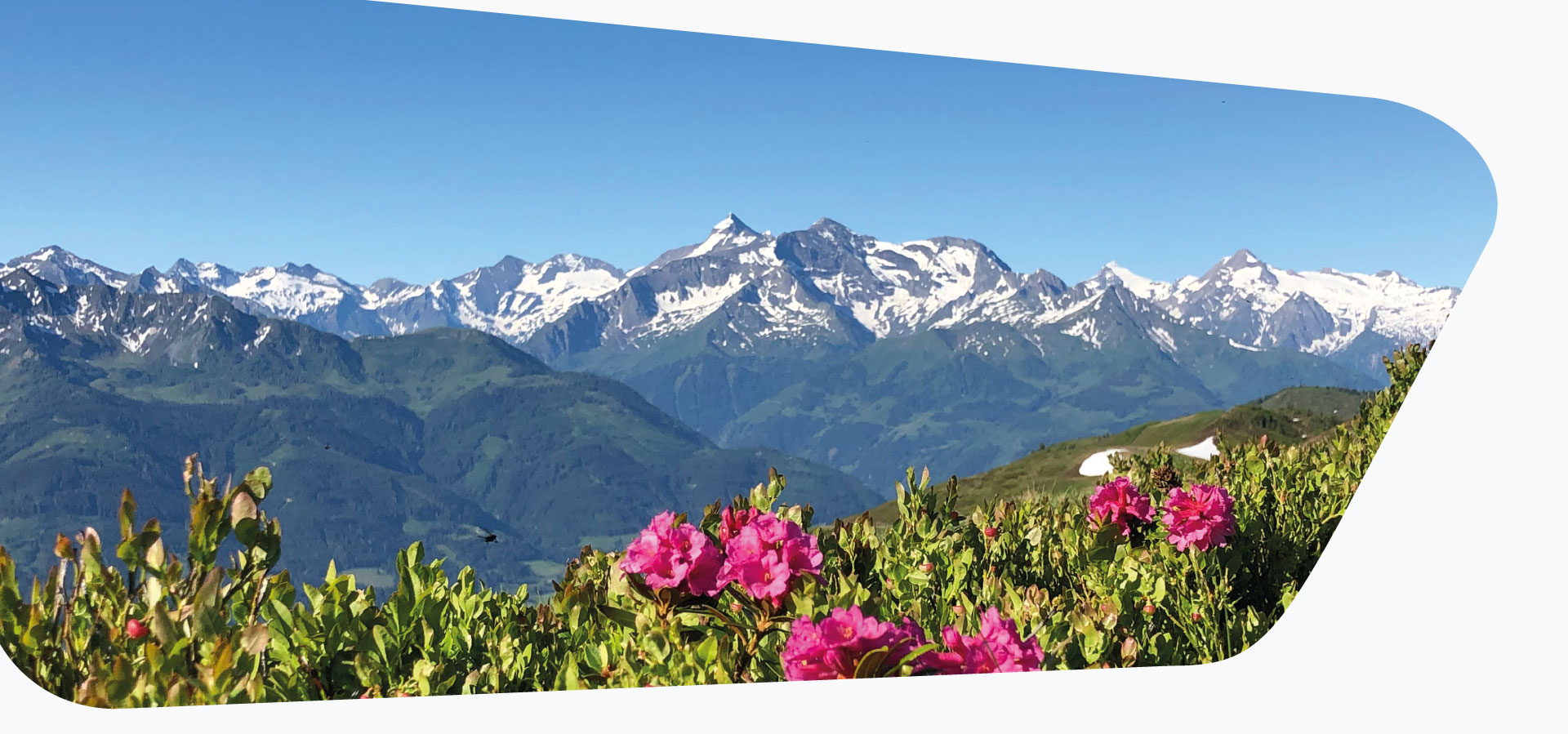 Über uns - Green Base Immo GmbH